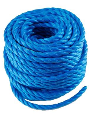 China 3mm 6mm 3 Strand Twisted Nylon Rope for Manufacturing Customized Colour and Durable for sale