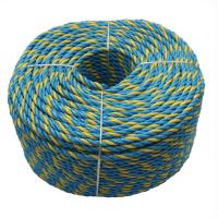 China Plastic Rope Polypropylene All Purpose 100 Meter Nylon PP Rope with Advanced Technology for sale