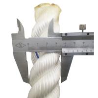 China Plastic Rope Polypropylene All Purpose 100 Meter Nylon PP Rope with Advanced Technology for sale