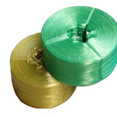 China Customized 3/4/8/12 Strands PP Rope with and 2mm-60mm Specifications for sale