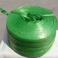 China Customized 3/4/8/12 Strands PP Rope with and 2mm-60mm Specifications for sale