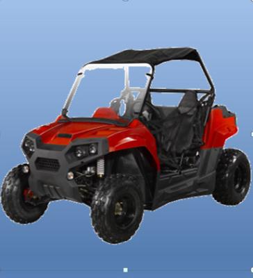China 150cc Oil Cooled 4 Stroke Automatic Double Seat UTV Off Road Buggy 300kg Load for sale