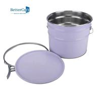 China 5 Gallon Metal Paint Can with Lid - ISO9001 Certified Empty Container in Multiple Sizes from 0.5L to 20L for sale