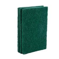 China Green Nylon Scourer Moisture Proof Wear Resistance Custom Durable Hot-selling Version for sale
