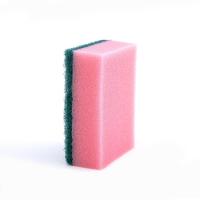 China Customized Eco-Friendly Kitchen Cleaning Sponge Scourer for sale