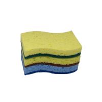 China Natural Sisal Coconut Kitchen Sponge - Oil-Resistant & Absorbent for sale