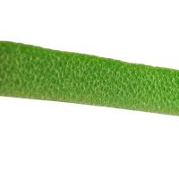 China Reusable Odor-Neutralizing Sponge for Fridge Deodorizing for sale