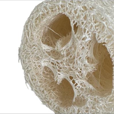 China Natural Cucumber Pulp Dishwashing Brush Effective Easy To For Kitchen Cleaning for sale