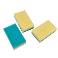 China Household Cleaning Brush With Temperature-Sensitive Cotton Filtration And Dual-Sided Design Made Of Polyester Or Nylon for sale