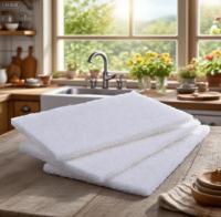 China Eco-Friendly Polyester Scouring Pad 4x6 Inches Kitchen Cleaning for sale