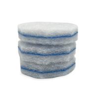 China Odor-Free Dissolvable Toilet Brush Replacement Heads with Powerful Scrubbing for Hygienic Cleaning for sale