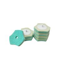 China Disposable toilet brush heads, suitable for bathroom cleaning, portable. for sale