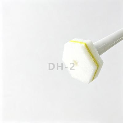 China Pre-Loaded Cleaner, Snap-On Design, Convenient Disposable Toilet Brush for sale