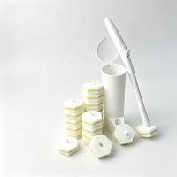 China Disposable Toilet Brush Kit – Complete Set for Hygienic and Convenient Daily Cleaning for sale