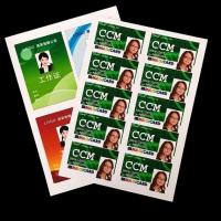 China Silver/White Color 300micron Thickness Quick Drying Inkjet PVC Sheet for Plastic Cards for sale