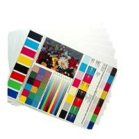 China 250micron A4 Size Waterproof Inkjet PVC Sheet for Plastic Cards and ID Printing for sale
