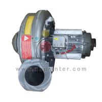 China Heidelberg Pressure/Vacuum Pump KLR110(DVDV), FS.102.3501, Heidelberg Offset Press Parts for sale