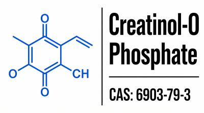 China Creatinol-O-Phosphate Powder Crystals CAS 6903-79-3 Phospholipid Compound Enhance muscular endurance, delay fatigue, and facilitate recovery for sale