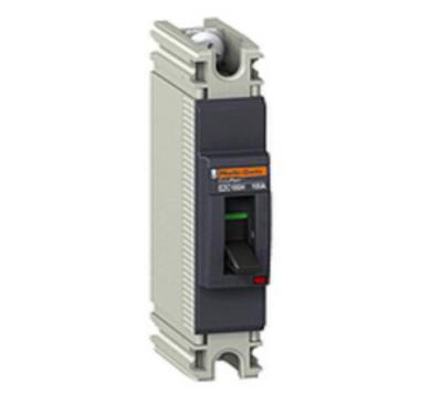 China Circuit Breaker Kampa ezc100 High Quality moulded  1 pole 100a ezc mccb for sale