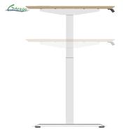 China Modern Work Office Desk with Uplift Motorized Adjustable Desk and Stylish Cable Management for sale