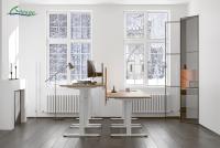 China Adjustable Height Stand Up Desk Uplift Standing Desk with 4 Memory Presets and Hassle-free Assemble Video Support for sale