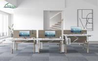 China Style Modern Work Office Desk Uplift Electric Sit-Stand Desk with Customized Size for sale