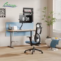 China Modern Work Office Desk with Cable Management Uplift Standing Desk 355 Lbs Weight Capacity Modern Style for sale
