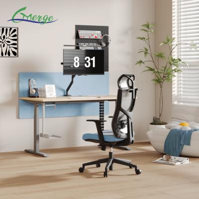 China Modern Work Office Desk with Cable Management Uplift Standing Desk 355 Lbs Weight Capacity Modern Style for sale