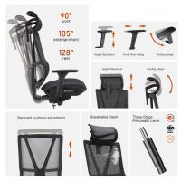 China Factory Wholesale High Quality Promotional Black Swivel Staff Reception Ergonomic Mesh Office Desk Chair With Lumbar Support for sale