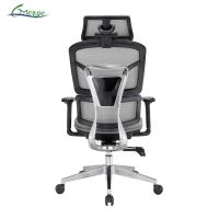 China Factory Wholesale High Quality Promotional Black Swivel Staff Reception Ergonomic Mesh Office Desk Chair With Lumbar Support for sale