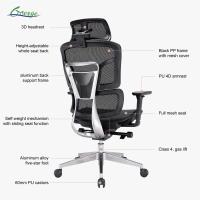 China Factory Wholesale High Quality Promotional Black Swivel Staff Reception Ergonomic Mesh Office Desk Chair With Lumbar Support for sale