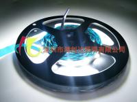 China Aluminum Type S LED Strip 2835 SMD DC12V For Advertising Lighting Letters for sale