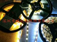 China IP20 LED Module Strip Lights 3528 Super Bright Long Lifespan for sale