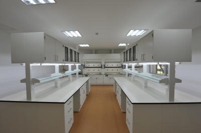China All Steel 25mm Laboratory Work Station Chemical resistance for sale