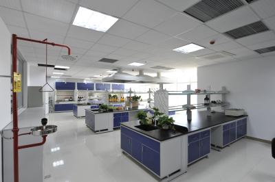 China Chemical Steel Wood 750mm Laboratory Counter Tops Corrosion Resistant for sale