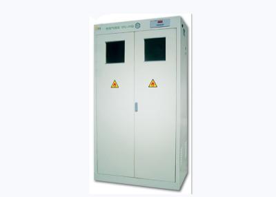 China Laboratory ISO Vertical Gas Cylinder Cabinet with Air Leak Alarm System for sale