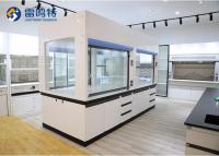 China Large Scale Anti Corrosion Laboratory Fume Hood High Temperature Resistant for sale