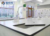China Alkali Resistance Chemical Laboratory Furniture 12.7mm Lab Epoxy Countertops for sale