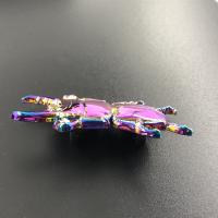 China Zinc Alloy Metal Enamel Colorful Cockroach Animal Invertebrate Hexapod Insect Rainbow Plated Lapel Pin for sale
