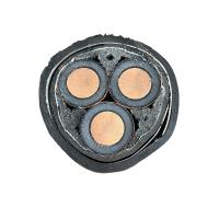 China 6KV XLPE Insulation Medium Voltage Power Cable 60A Heat Resistance for sale
