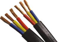 China 450/750V Flat Rubber Cable Stranded Pure Copper Conductor Customized Size for sale
