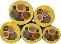 China Flame Retardant Waterproof Mining Cable with Tinned Copper Conductor for Underground Mining Applications for sale
