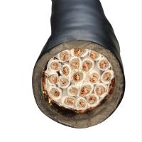 China 300/500V Rated Voltage Multi-Core (2-10) Flame Retardant PVC Sheathed Cable RVVP Flexible Power Cable for Home Appliances for sale