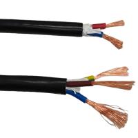 China 300/500V Rated Voltage Multi-Core (2-10) Flame Retardant PVC Sheathed Cable RVVP Flexible Power Cable for Home Appliances for sale