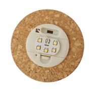 China LED Tapered Cork Lid Stopper with Light for Flower Micro Landscape 3.48x3.27x1.29 Inch for sale