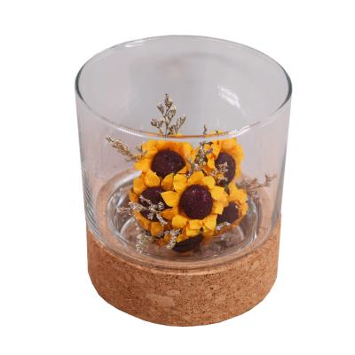 China Borosilicate Glass Jar with Natural Cork Base Groove 2.5 Inch for DIY Micro Landscape Decoration for sale