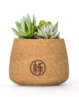 China Eco Friendly Cork Plant Pots with Drainage Hole 115mm Diameter Reusable Biodegradable Flower Succulents Holder for sale