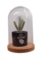 China Natural Cork Base with Borosilicate Glass Dome 2.5x2.2 Inch Groove Line for DIY Decoration for sale