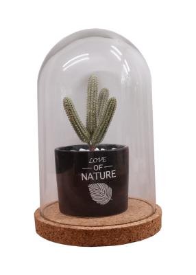 China Natural Cork Base with Borosilicate Glass Dome 2.5x2.2 Inch Groove Line for DIY Decoration for sale