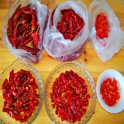 China Raw Spice 4cm Chili Ring Pungent Crushed Dried Peppers for sale